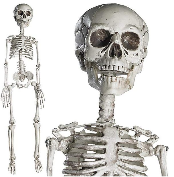 Friday Finds - Spooky Stuff for Spooky People - SpookyInc